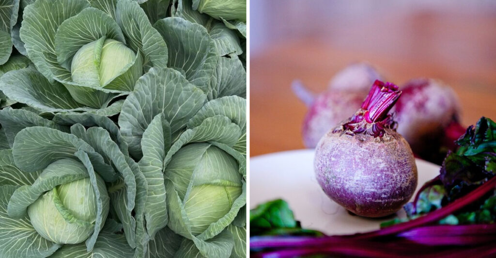 The 15 Most Nutritious Vegetables You Should Be Eating More Of