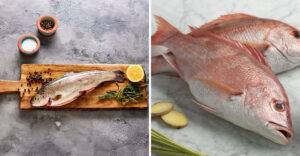 11 Best-Tasting Fish You Have to Try at Least Once