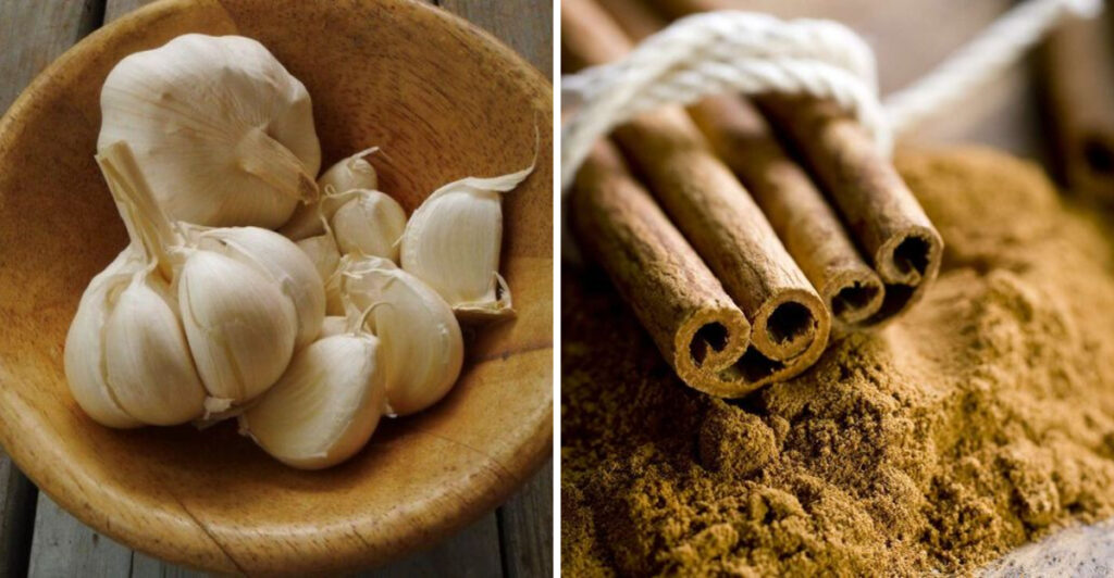 20 Foods With Medicinal Properties You Didn’t Know About